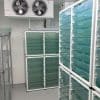Storage | Denward