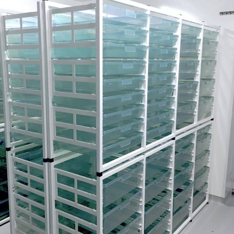 Medical Storage Racking | Denward